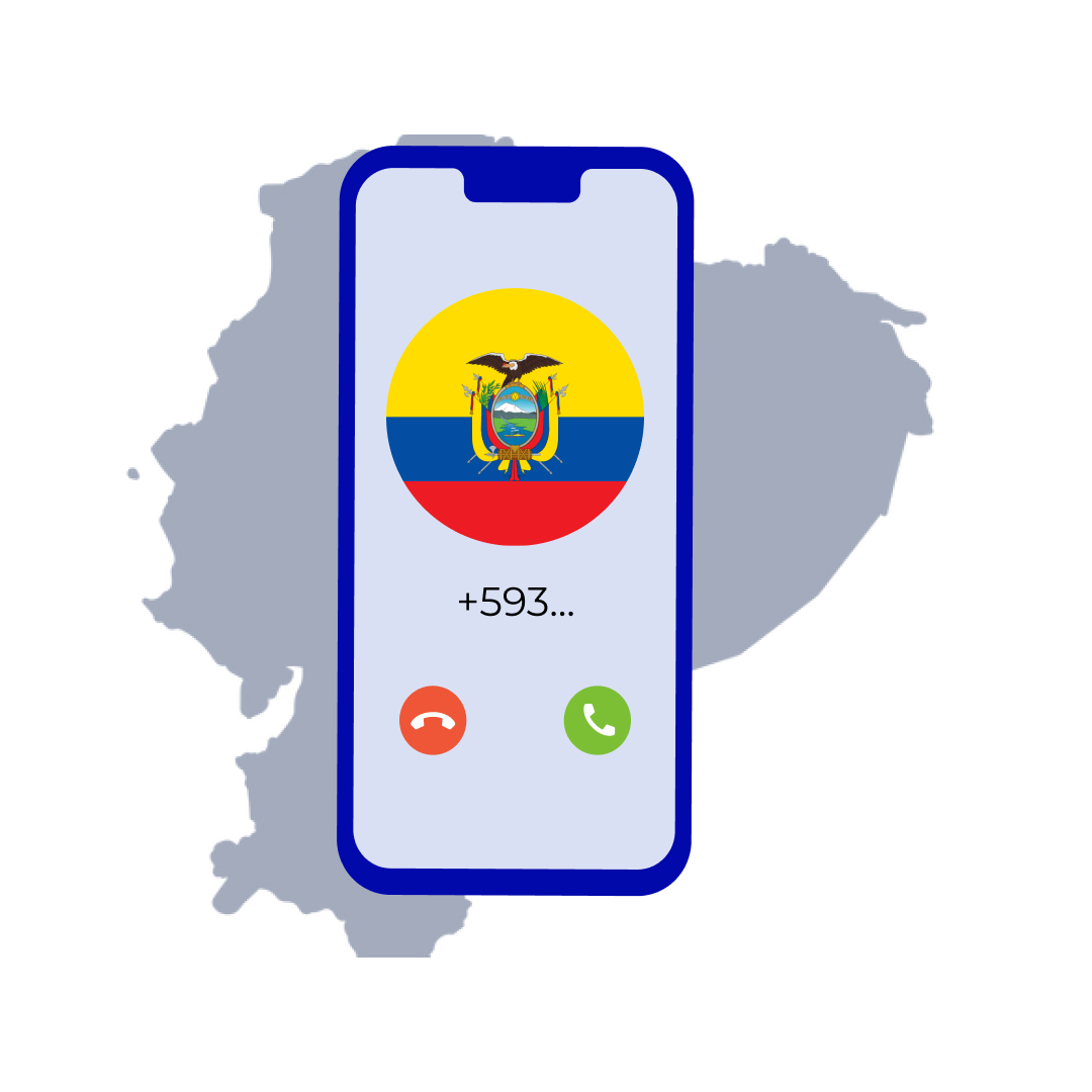 Buy Ecuador virtual number with code +593 in DIDVN